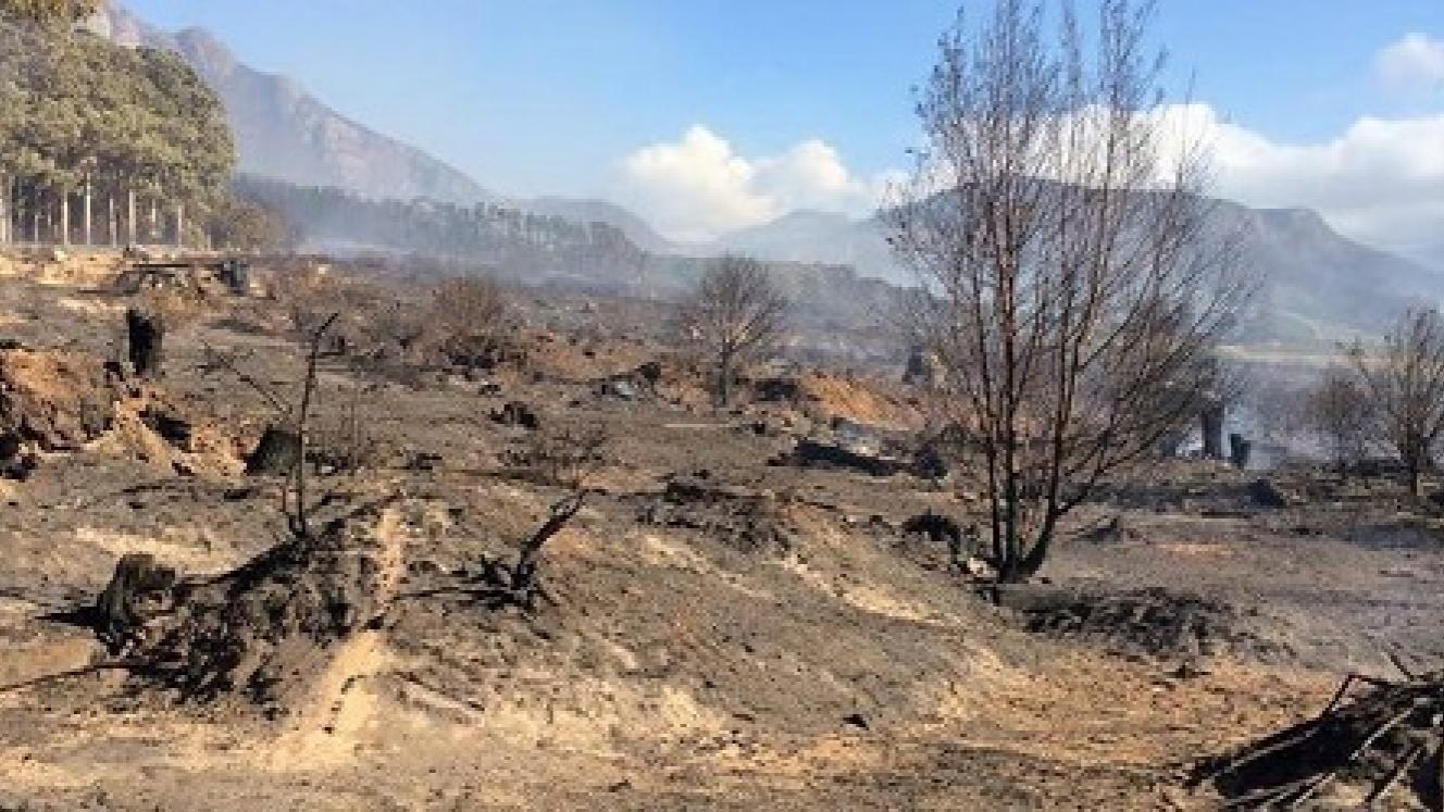 In pictures: The aftermath of the Cape fires | Southern & East African ...