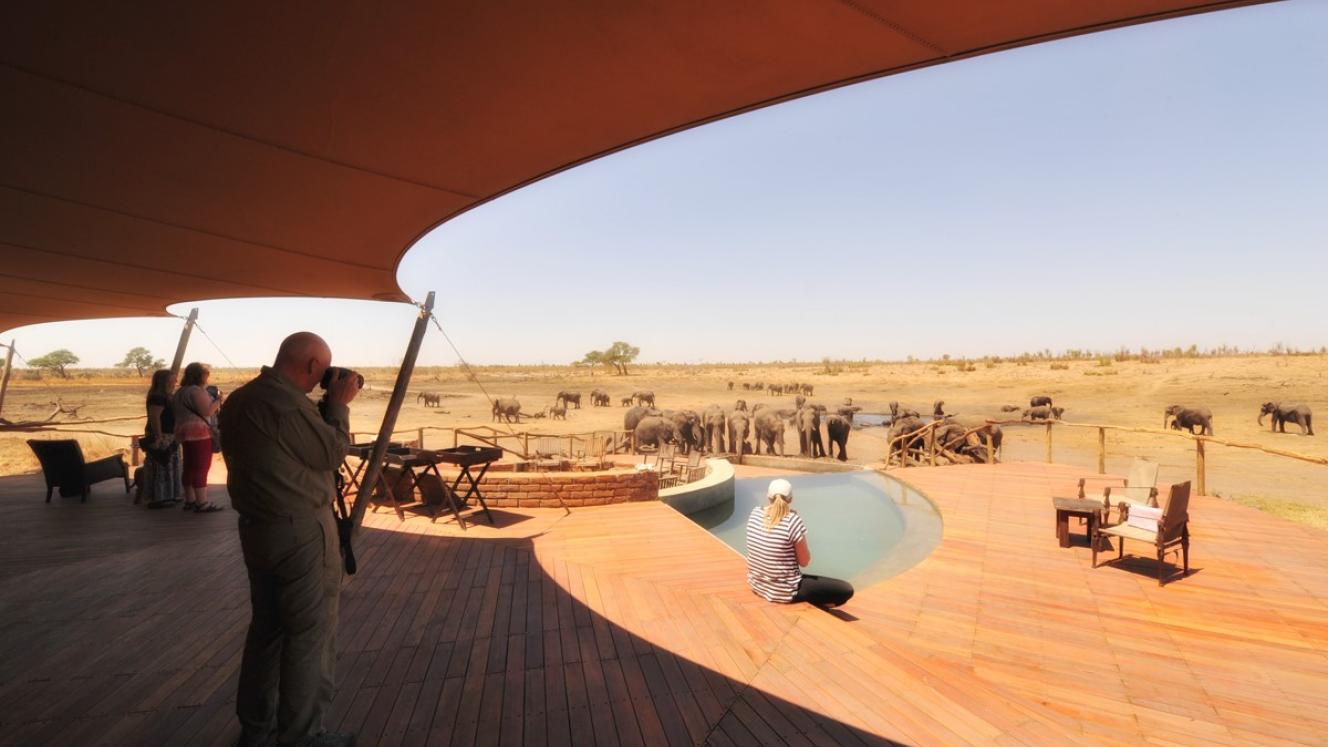 Investment flows into Hwange with Somalisa Camp redevelopment ...