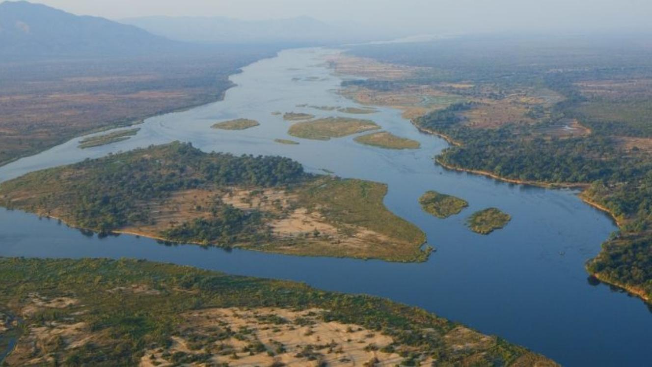 Anti-poaching rangers accidentally shot in Zimbabwe | Southern & East ...