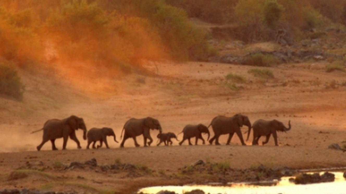 Community-based tourism organisation gets Fair Trade certification ...