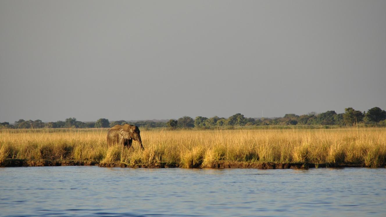 New lodge opens on banks of the Chobe | Southern & East African Tourism ...