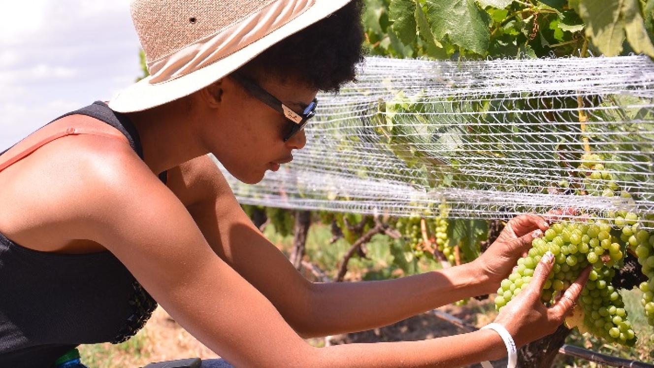 New wine tour in Kenya’s Great Rift Valley | Southern & East African ...