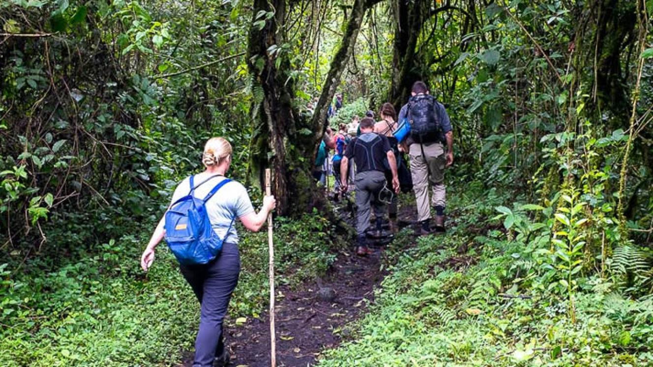 New walking safaris for Volcano Safaris | Southern & East African ...