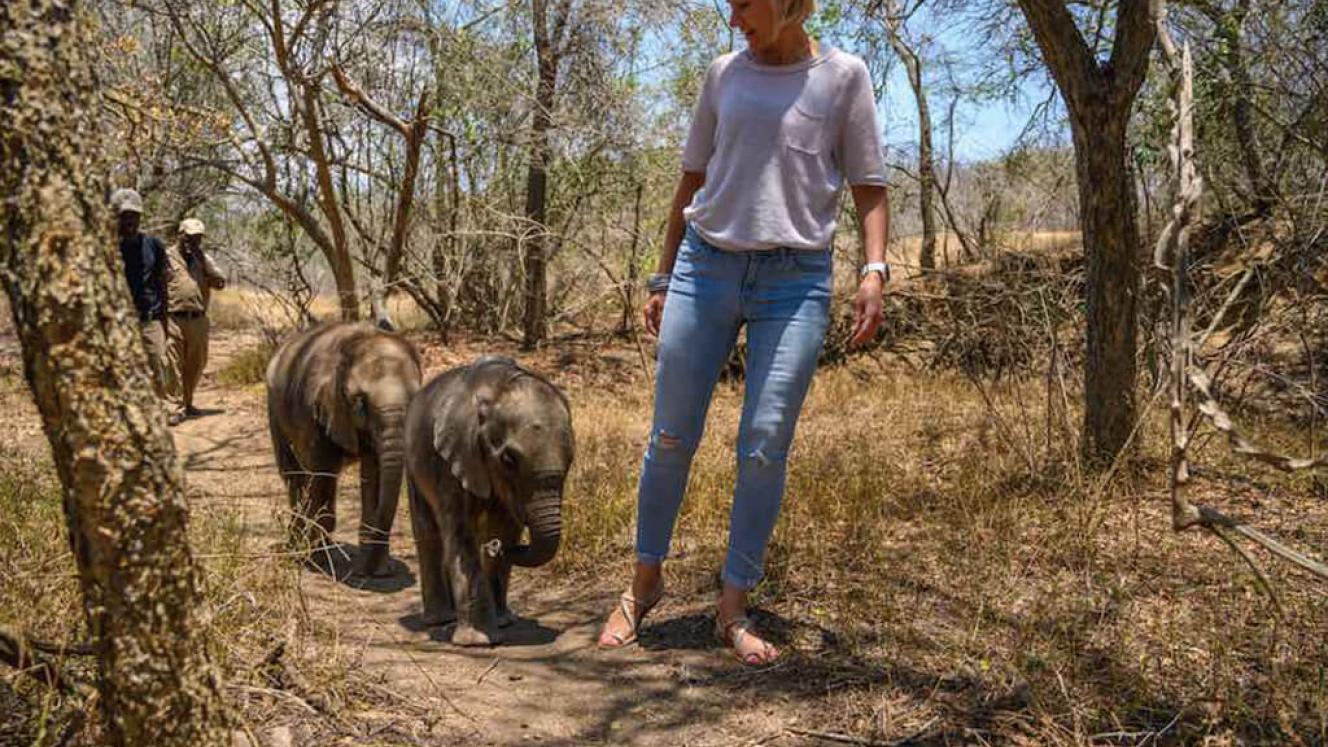 South Africa plans new elephant nursery | Southern & East African ...