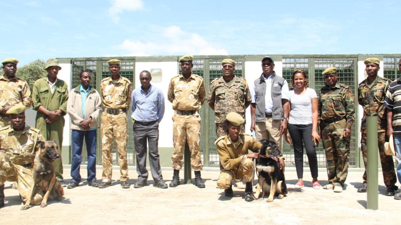 African Wildlife Foundation set to establish canine units | Southern ...