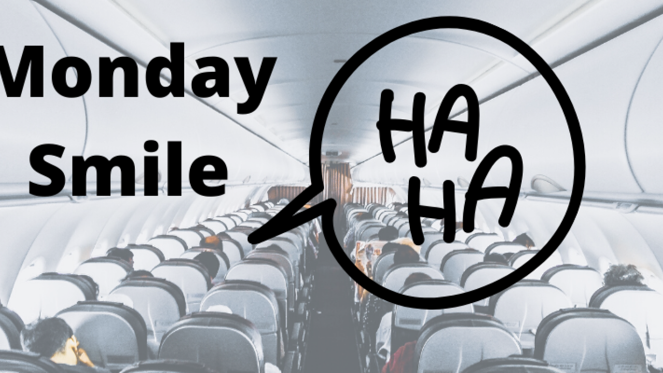 Monday Smile: Fred the guide horse flies first class | Southern & East ...