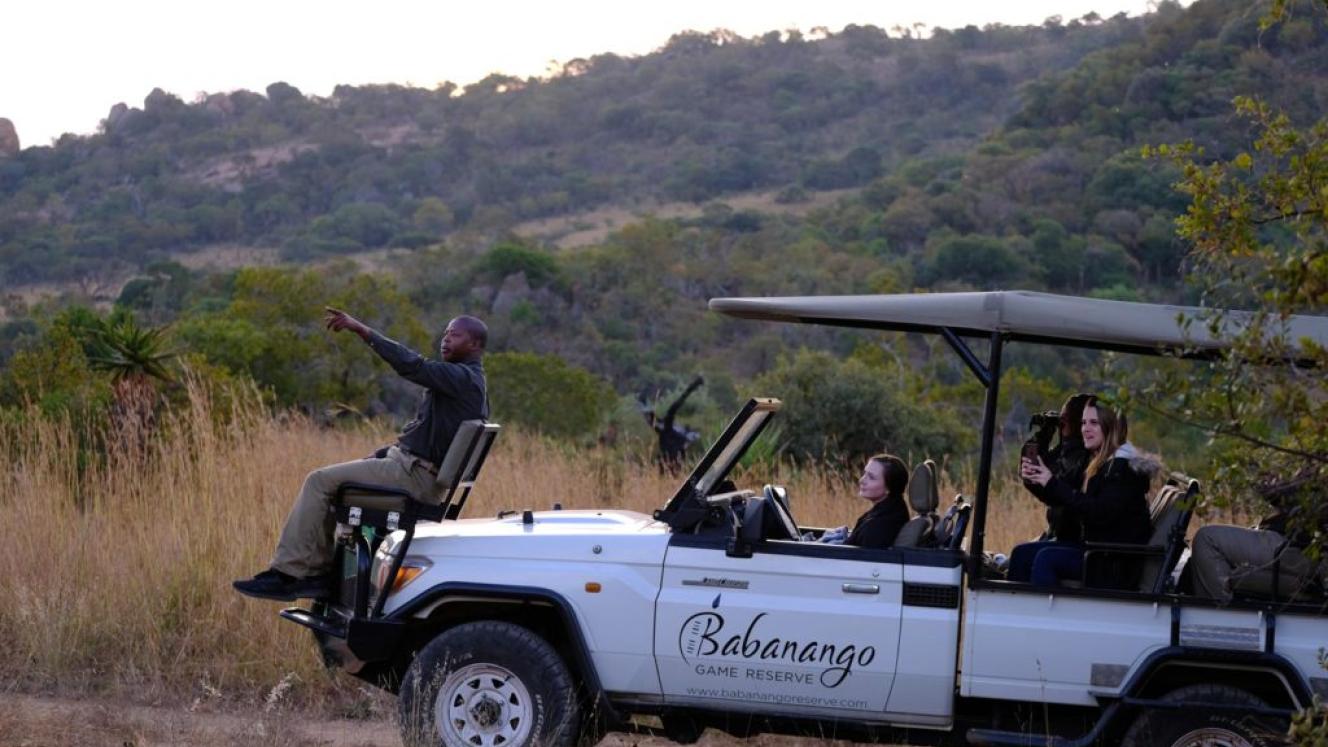 New conservation company launches game reserve in KZN | Southern & East ...